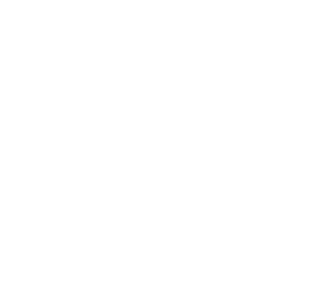 Amynta Work Comp Solutions - Amynta Work Comp Solutions